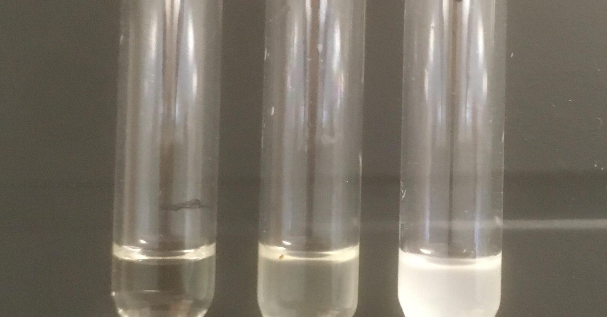 What Is Lucas Test? - Askcorran